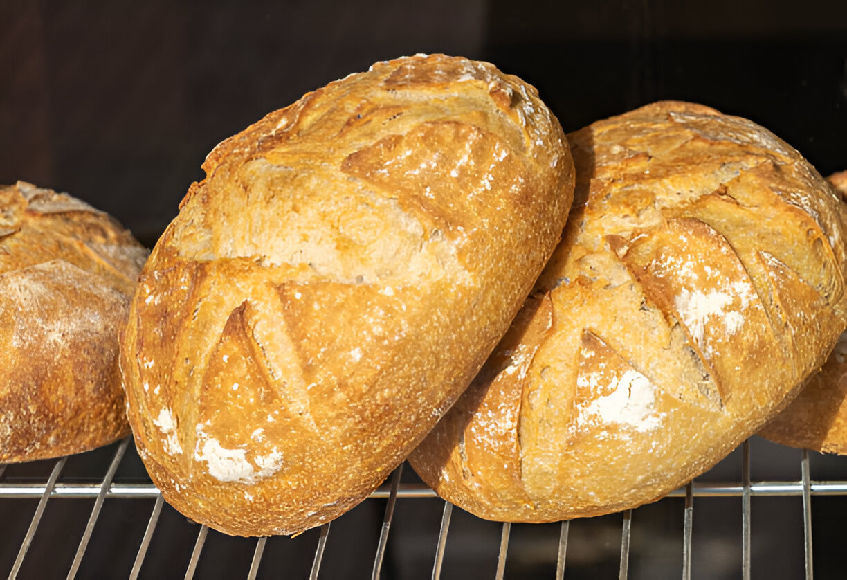 Fast Bread Recipe: Quick and Easy Homemade Breads